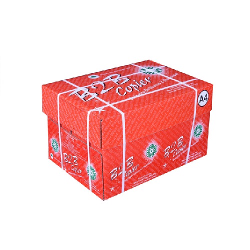 Grosta B2B A4 COPIER PAPER 70GSM PACK OF 10 